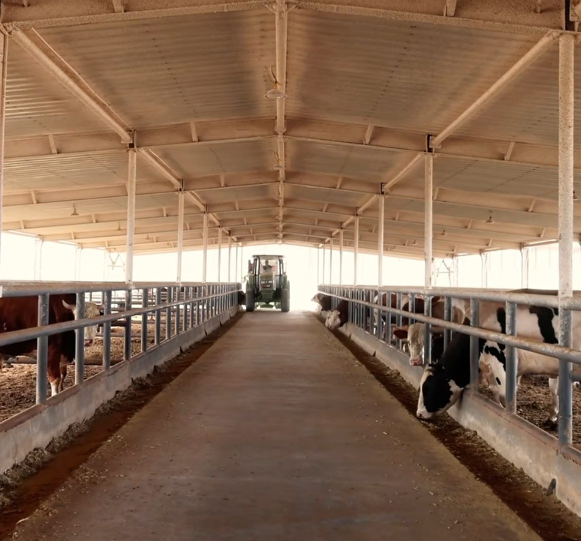 Heavy Duty Steel Horse Stable Modular Design For Customizable Horse ...