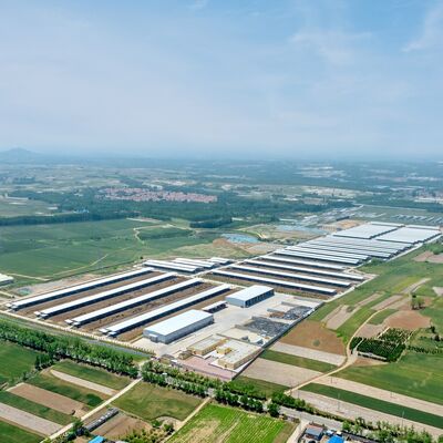 Cattle Shed with Galvanized Steel Frame & Open-Sided Shade Roof for ...